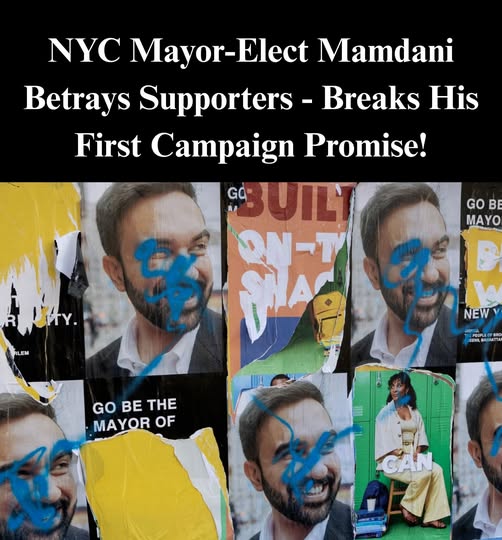 Mamdani Faces Backlash Over Expensive ‘Freebie’ Victory Party - Magaziine