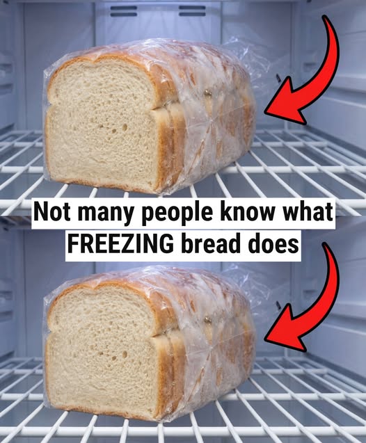 Freezing bread can preserve freshness, but improper storage causes ...