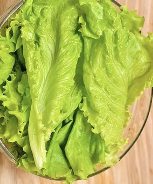 Doctors Reveal That Eating Lettuce in Winter Can Disrupt Digestion ...